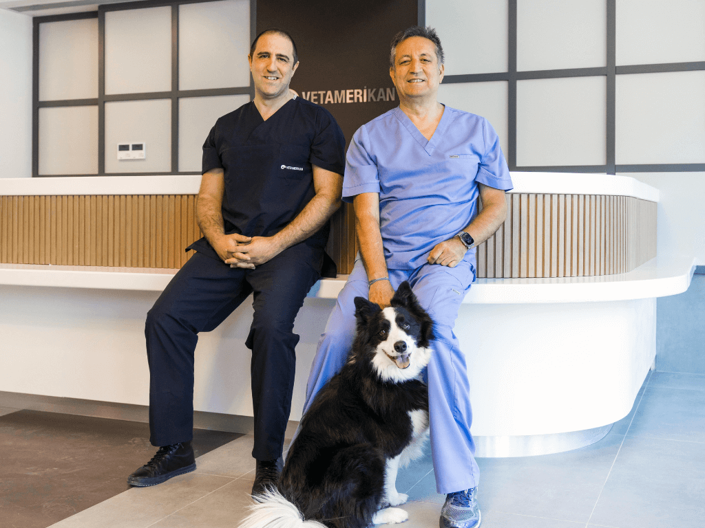 CEO Mesage | VetAmerican Pet Hospital